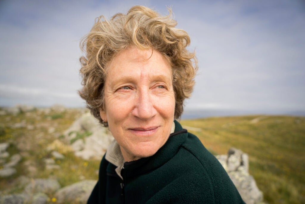 In Memoriam: Dr. Shuli Goodman – LF Energy