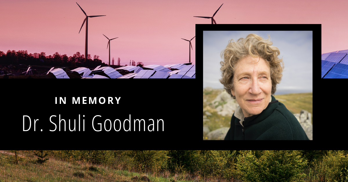In Memoriam - Dr. Shuli Goodman - LF Energy